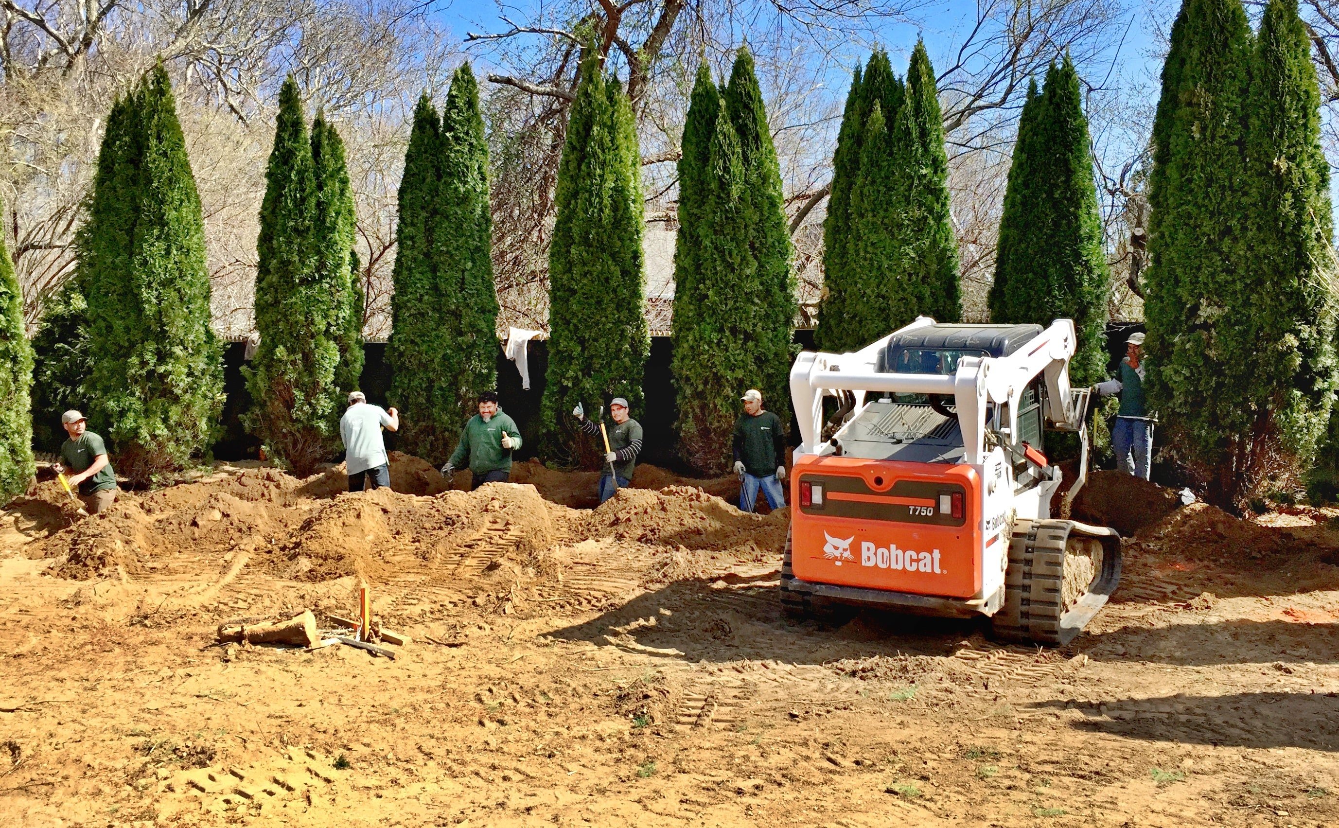 Starting Smart: Planting Trees and Shrubs | Bay Gardens