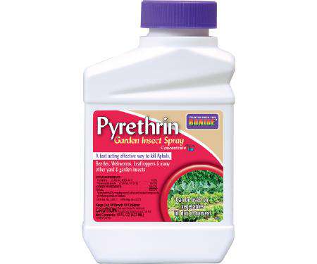 Bonide Pyrethrin Garden Insect Spray – Bay Gardens